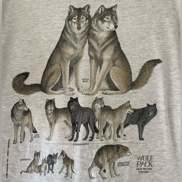 Hanes | Shirts | Vtg 9s Wolf Pack Wolves Animal Habitat Tshirt Art By ...